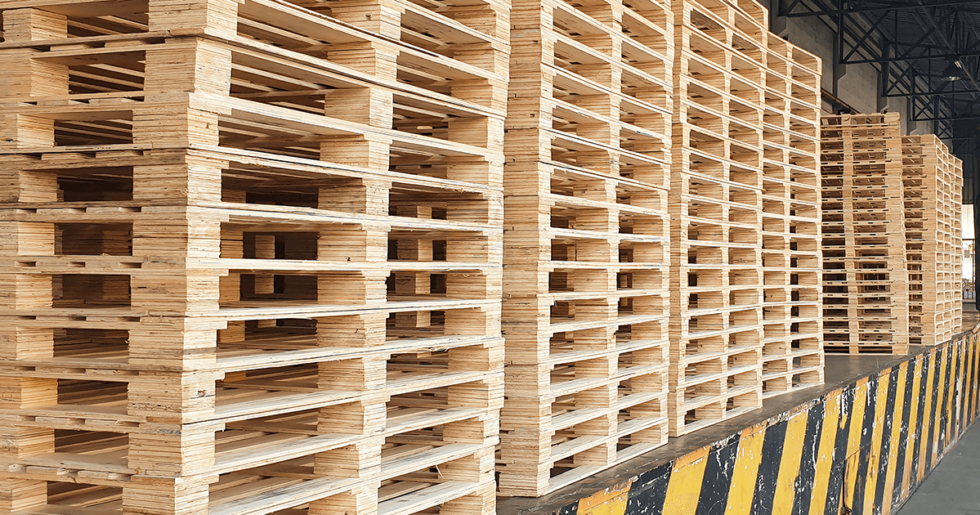 AI Vision Systems in the Pallet Industry