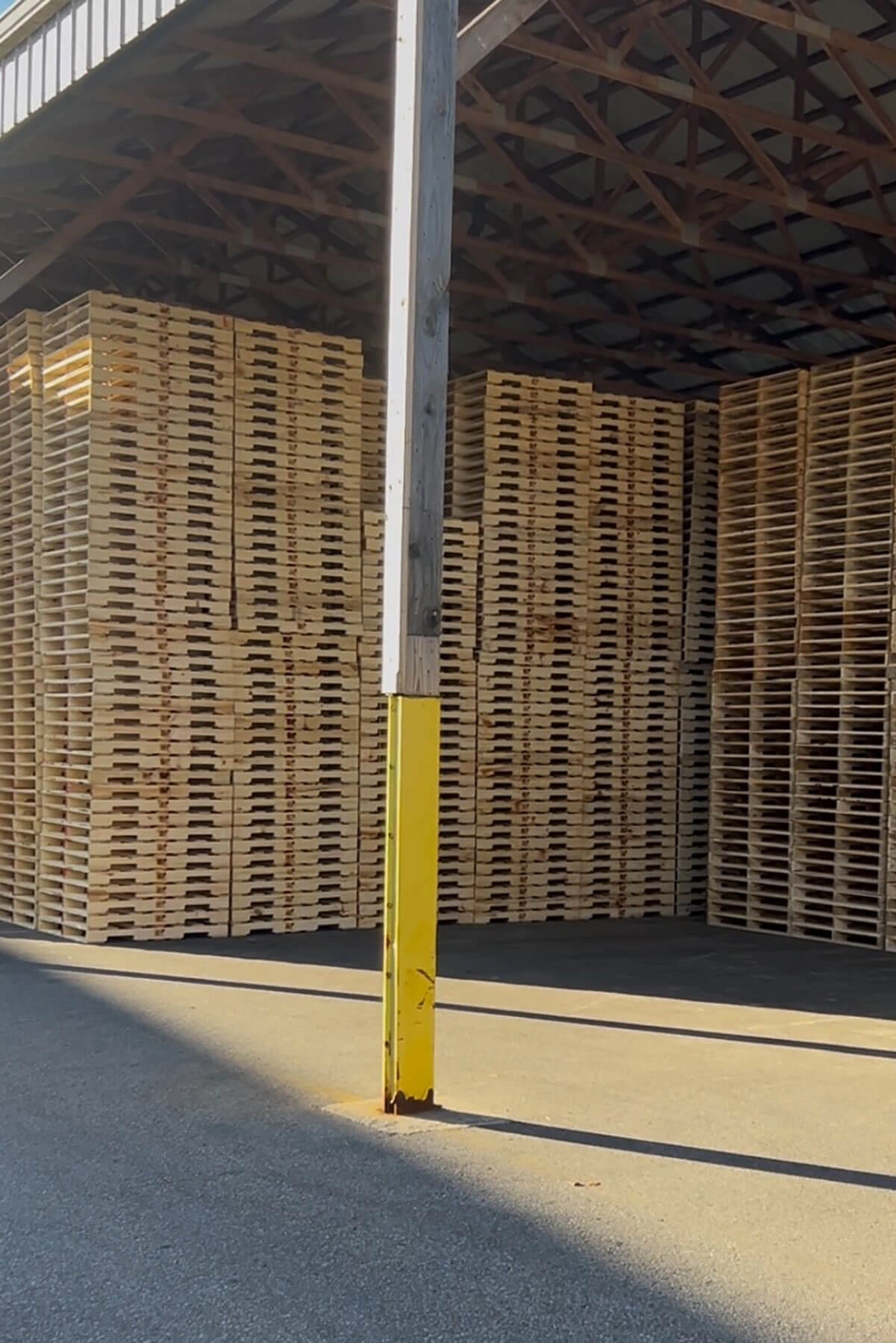 Heat Treated Pallets: Compliance and Mold Prevention Best Practices